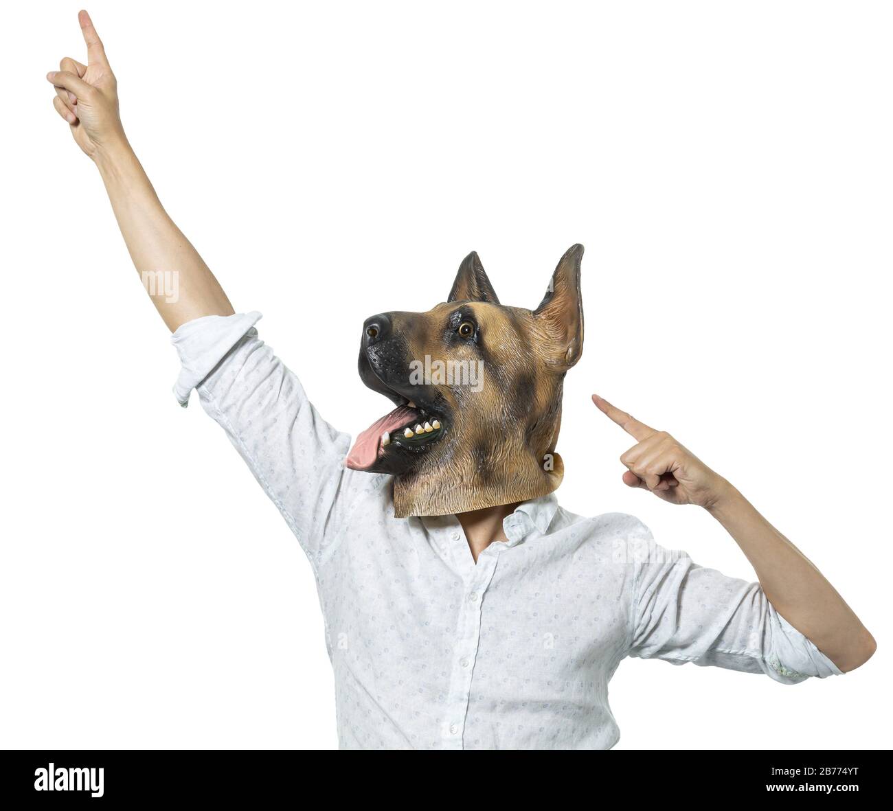 Male in a dog mask expressing happiness on a white background Stock ...