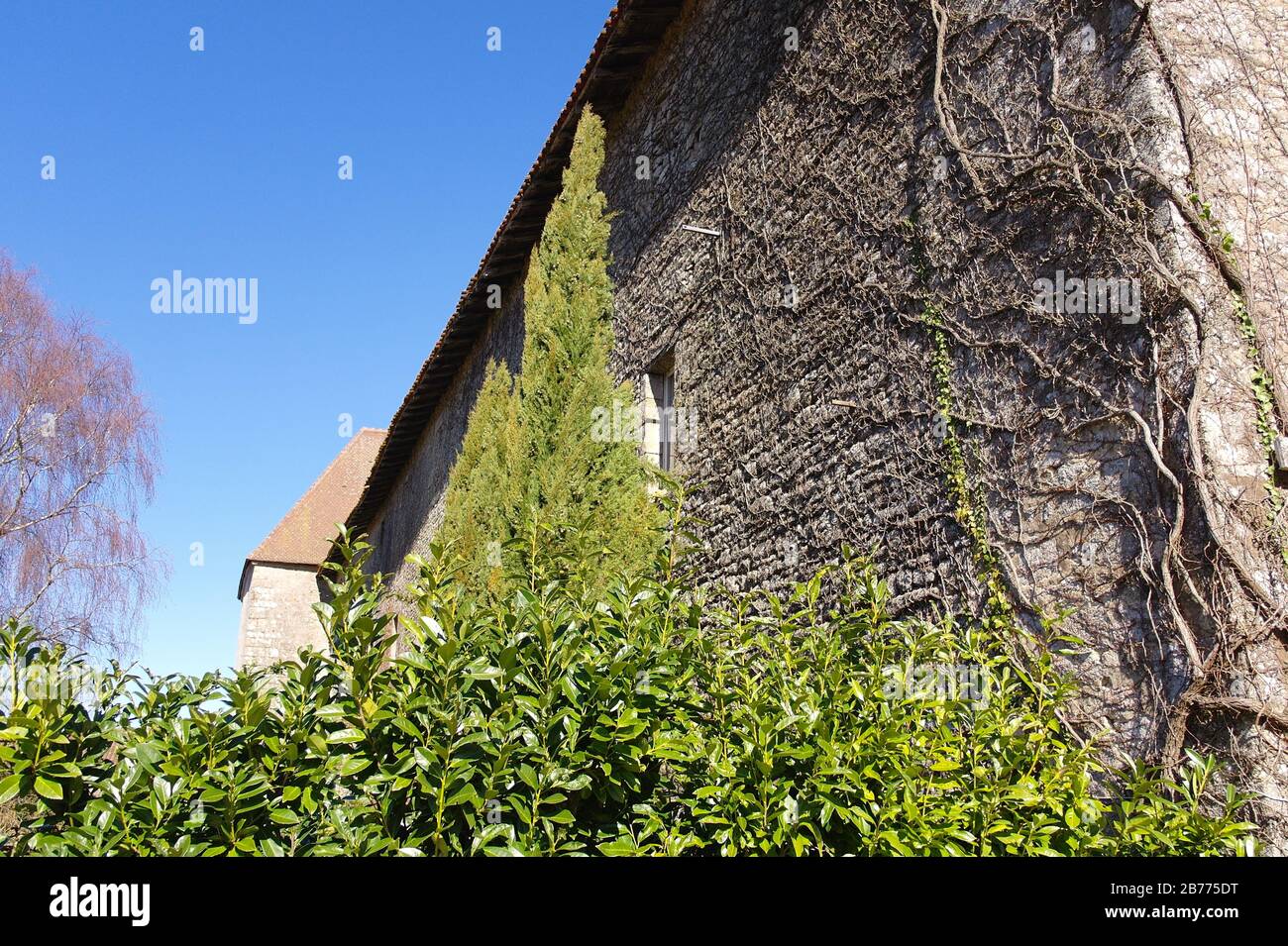 Bottom view shot of the building stone wall and bushes next to it Stock ...