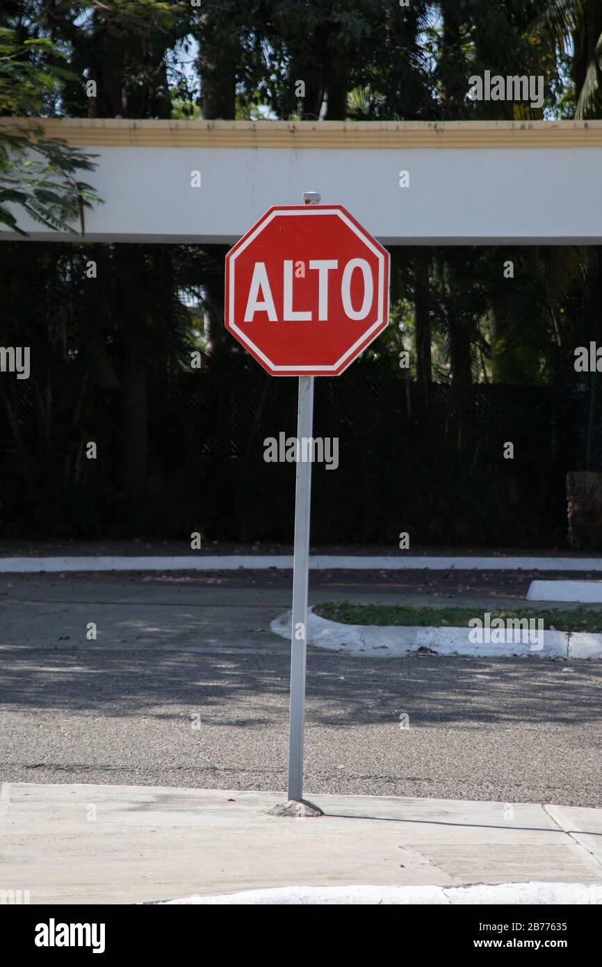 Red Alto - stop - sign on the road surrounded by greenery under the ...