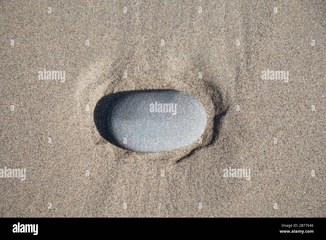 Closeup of a stone on the sand under the sunlight in a beach in Mexico ...