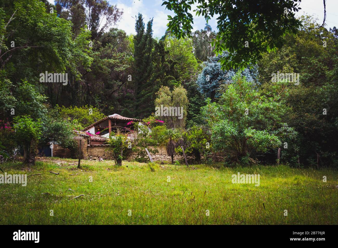 Small house surrounded with trees in the forest Stock Photo - Alamy