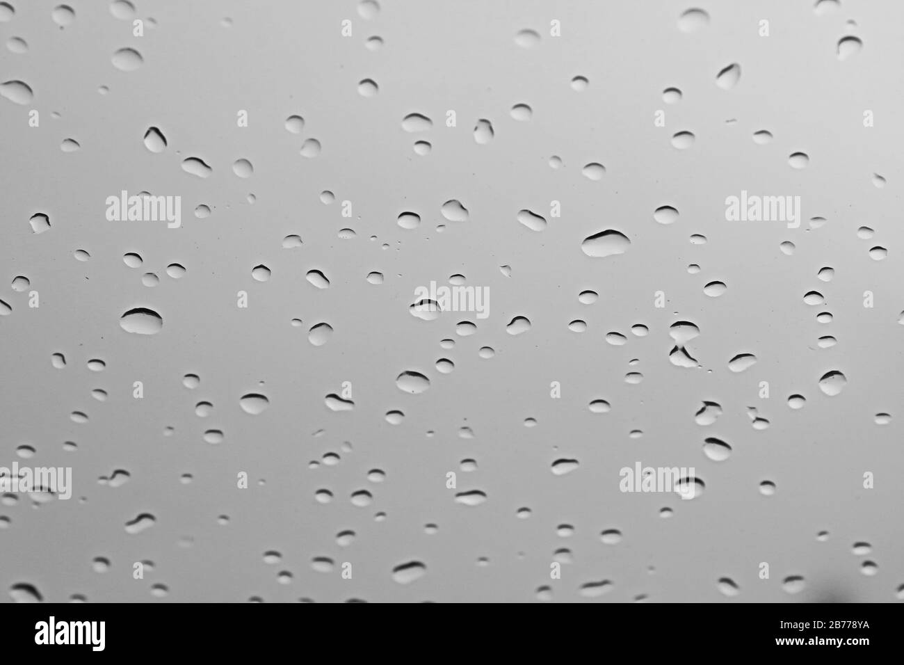Counter background blur window Black and White Stock Photos & Images ...