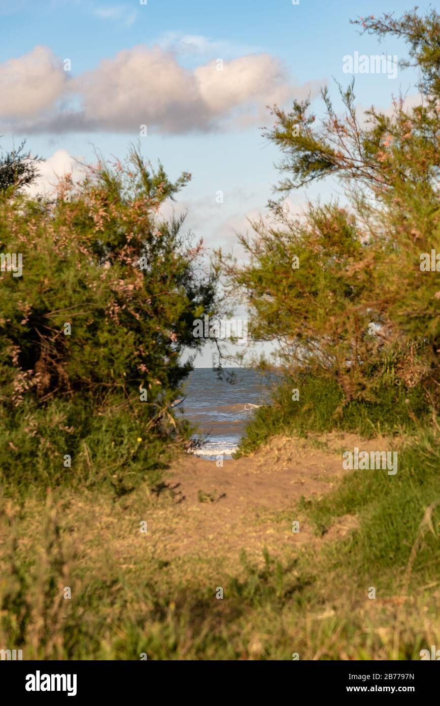 Beautiful view beach dunes white hi-res stock photography and images ...