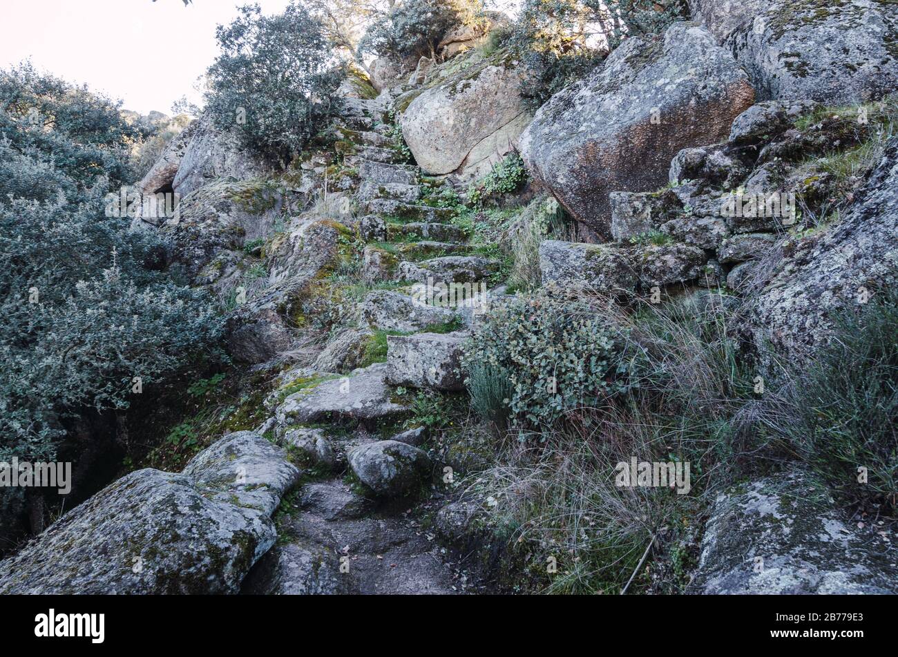 Stairs on a hiking trail going up a mountain surrounded with boulders ...