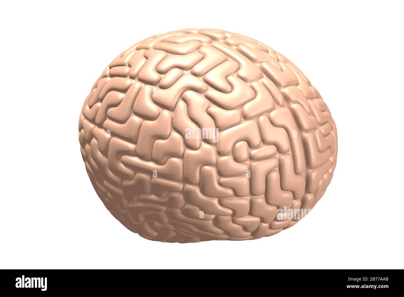 3D human brain isolated on white background - great for topics like ...