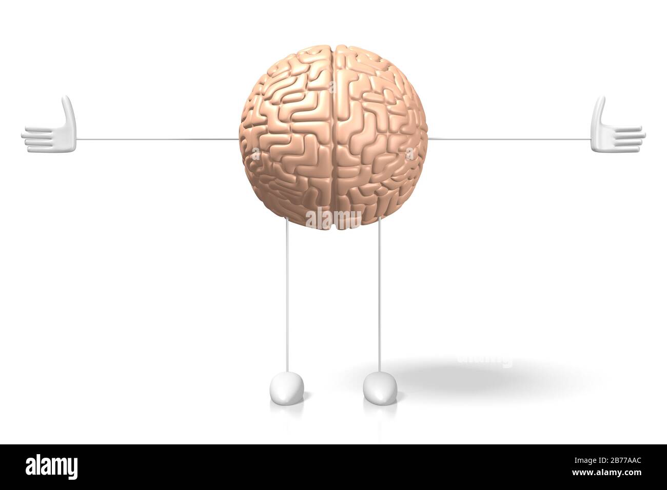 3D brain cartoon character - isolated on white background Stock Photo ...