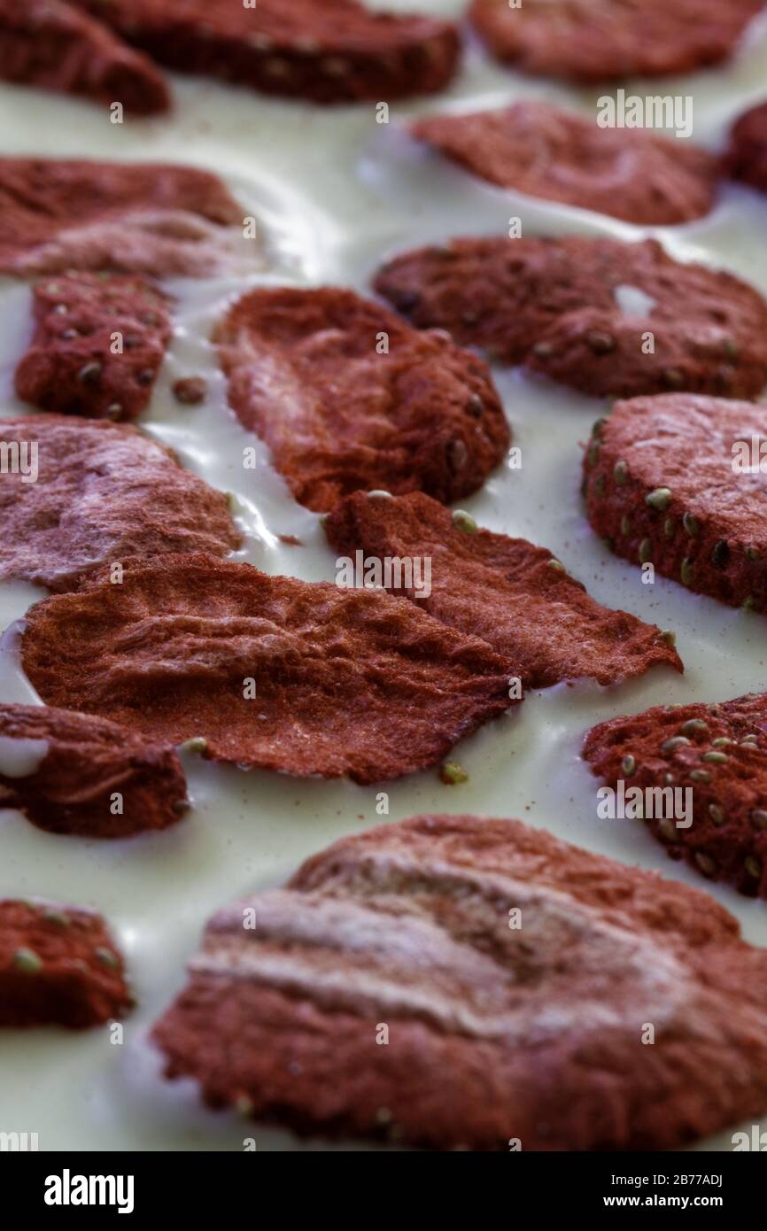 Dried strawberries melted in white chocolate Stock Photo - Alamy