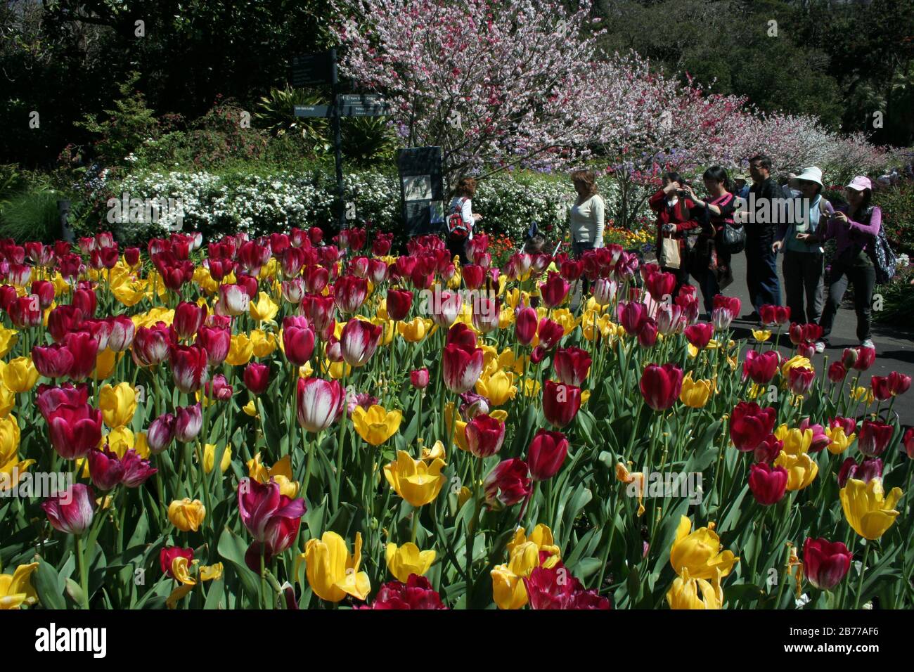 Botanical Gardens Australia