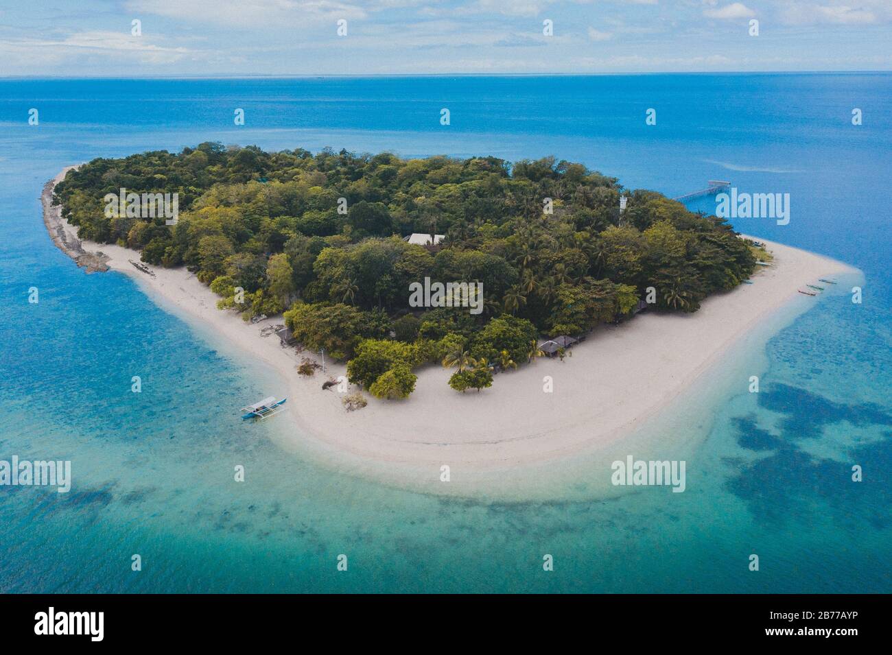 Island covered in trees and vegetation surrounded by the ocean Stock ...