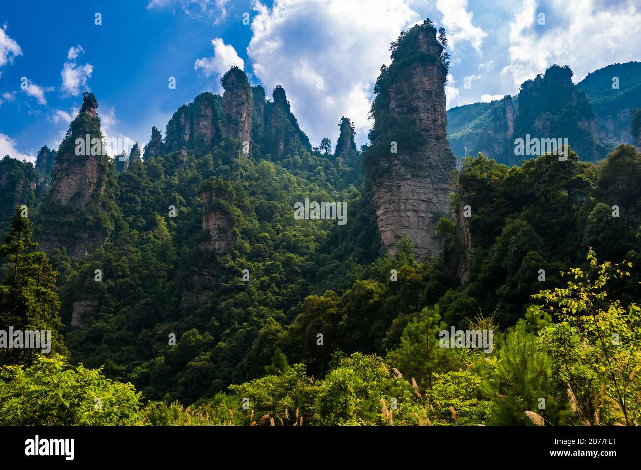 Wulingyuan National Park High Resolution Stock Photography and Images ...