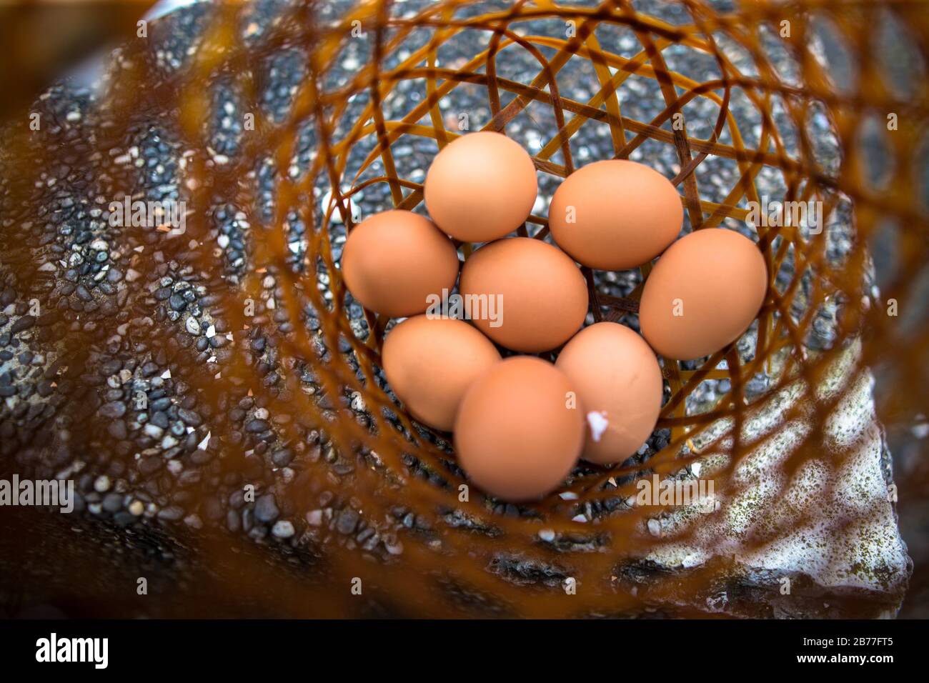 Close up view of geothermal hot spring cooked eggs in bamboo basket ...
