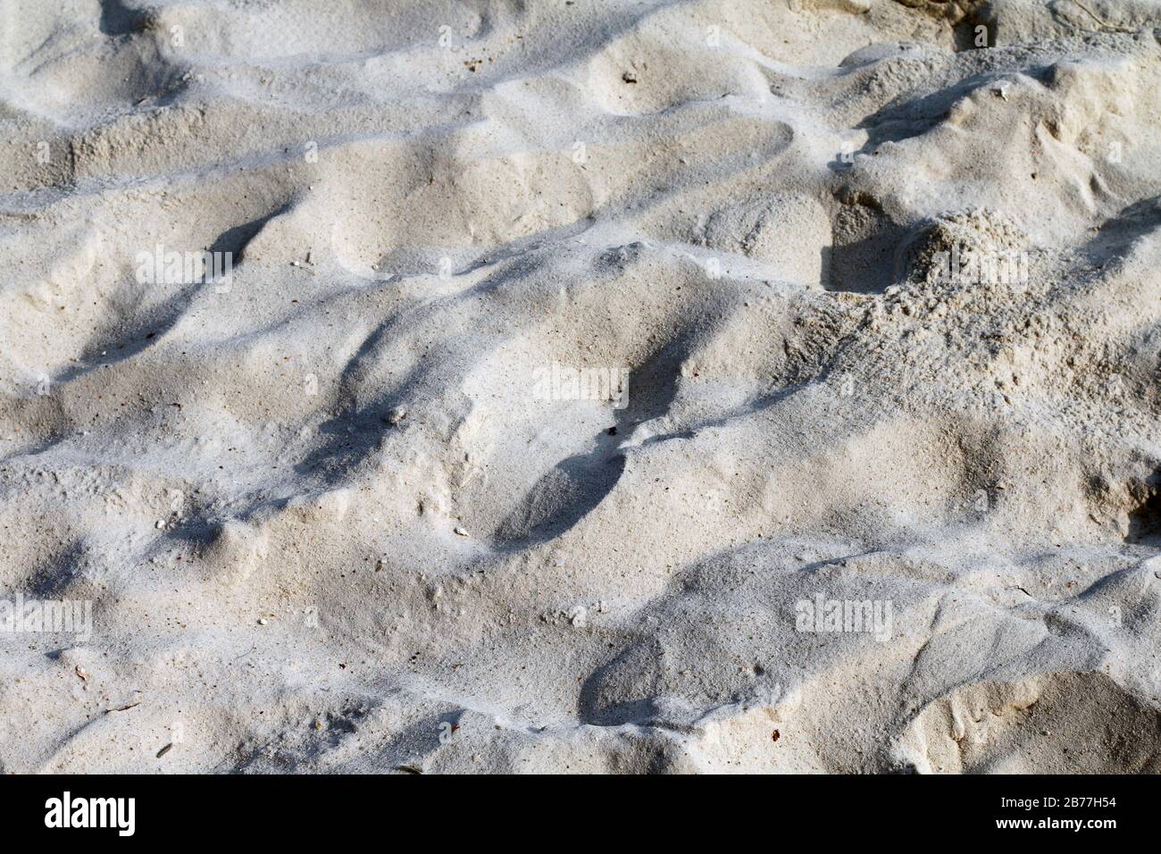 Sand background, Sand beach evening, Sand texture, Fine sand floor ...