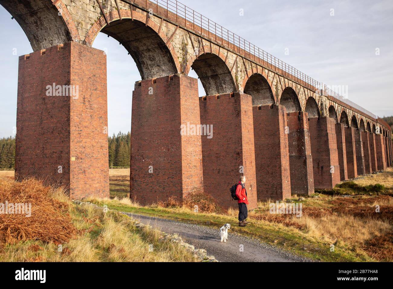 Dromore viaduct hi-res stock photography and images - Alamy