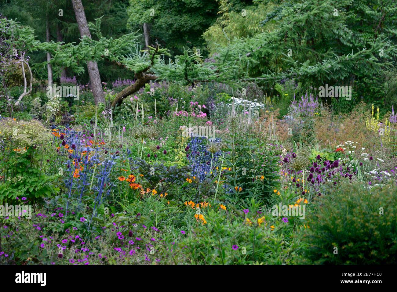 Blue mixed hi-res stock photography and images - Alamy