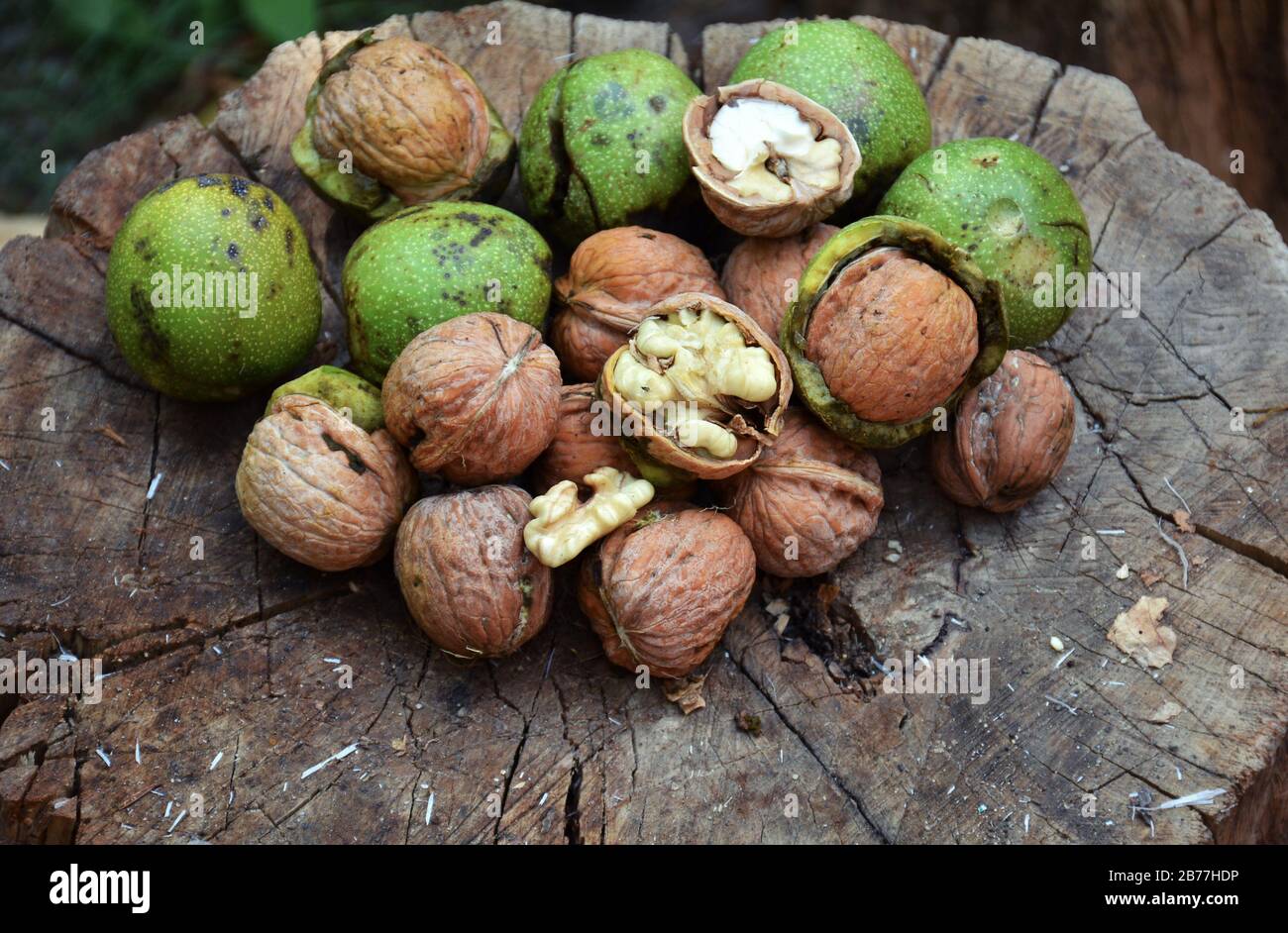 Raw walnuts hi-res stock photography and images - Alamy