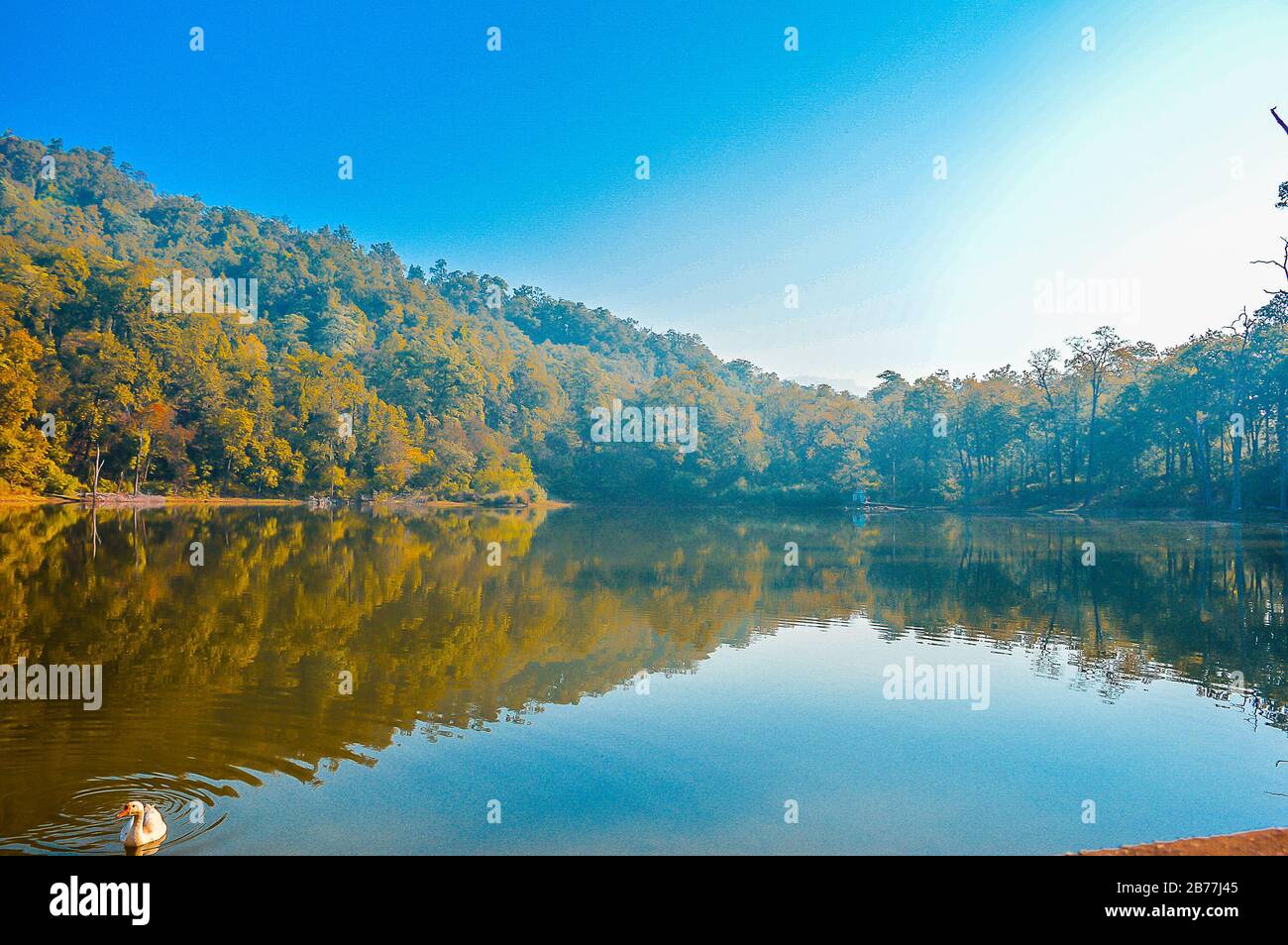 A small natural lake in nature in Nepal Stock Photo - Alamy