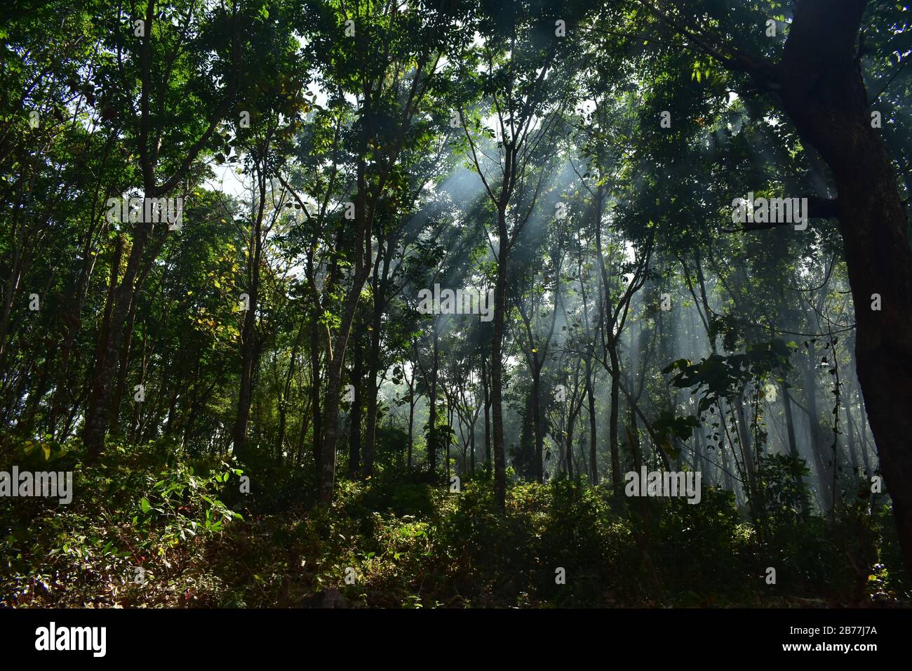 beautiful sun light through smoke Stock Photo - Alamy