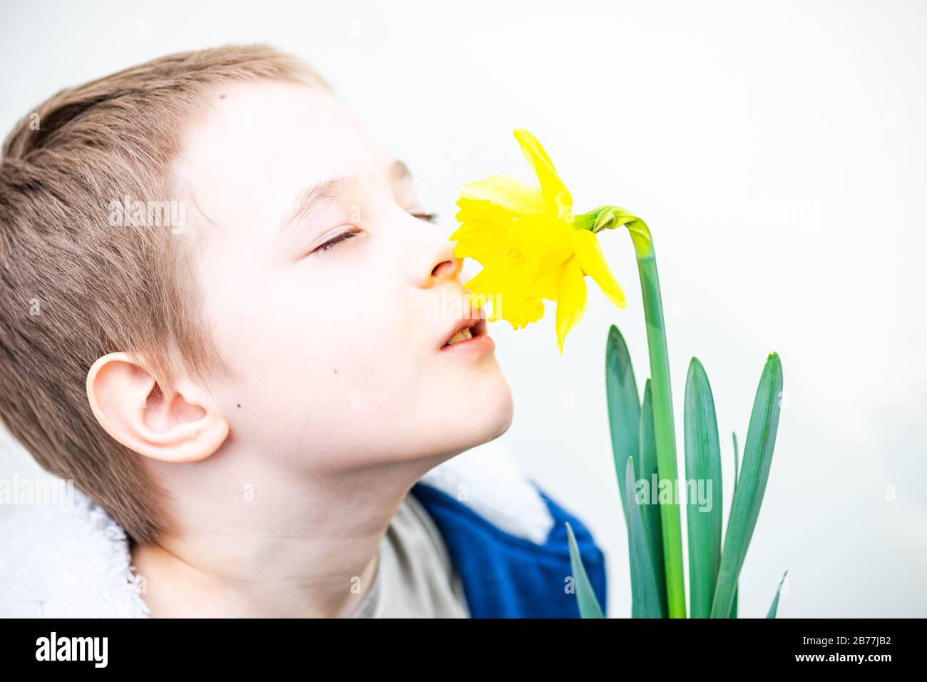 Spring time concept with nice boy and yellow narcissus flower in a ...
