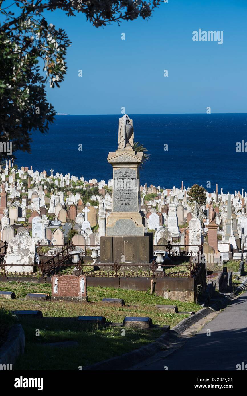 The Waverley Cemetry is a heritage-listed cemetery on top of the cliffs ...