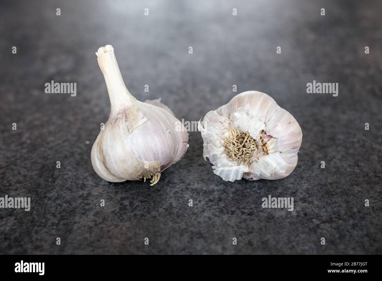 close-up of fresh organic garlic bulb on nide dark backgound Stock ...