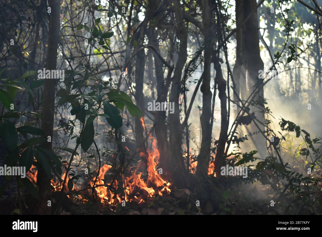 Intentional Fire High Resolution Stock Photography and Images - Alamy