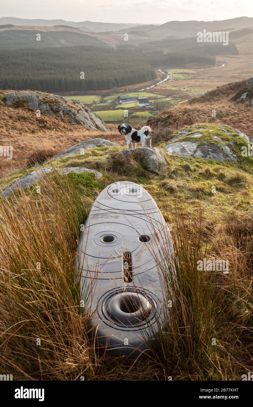 Walking in the Cairnsmore of Fleet National Nature Reserve, environment ...