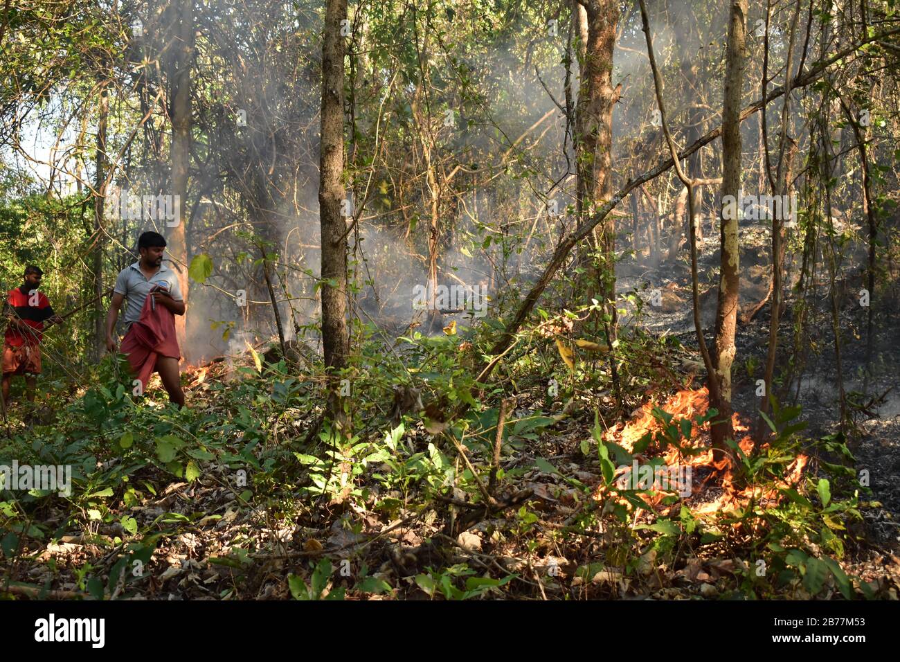 India forest fire hi-res stock photography and images - Alamy