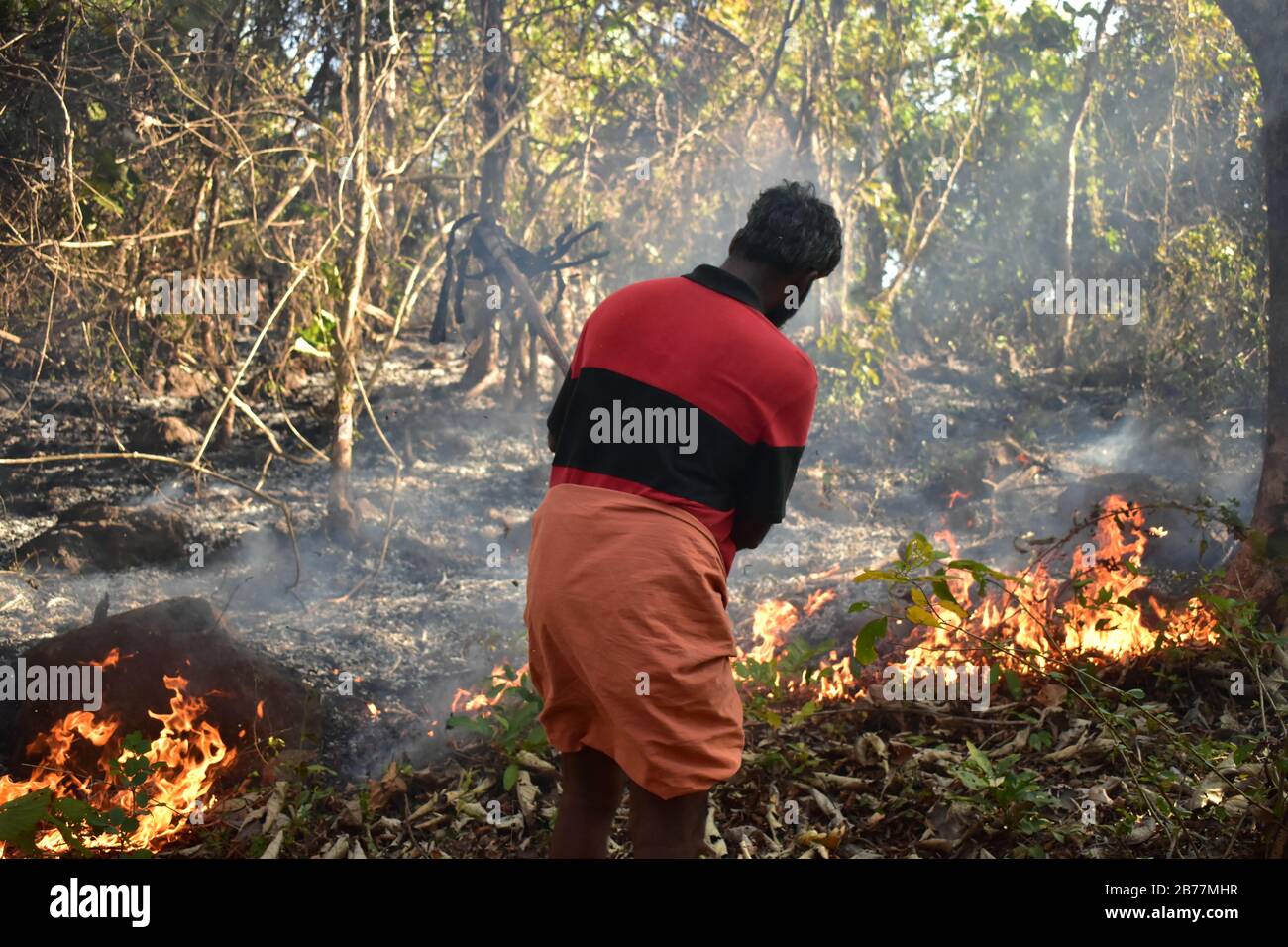 Fire fighters forest fire hi-res stock photography and images - Alamy
