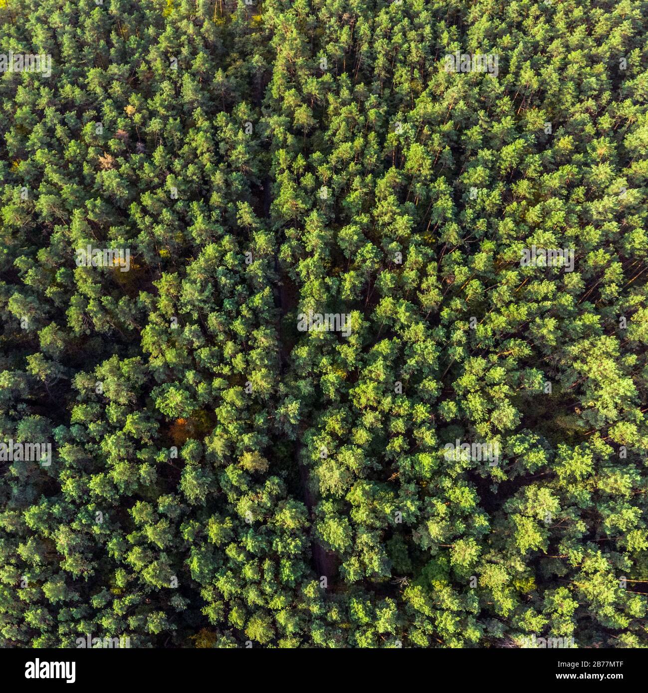 Evergreen aerial hi-res stock photography and images - Alamy