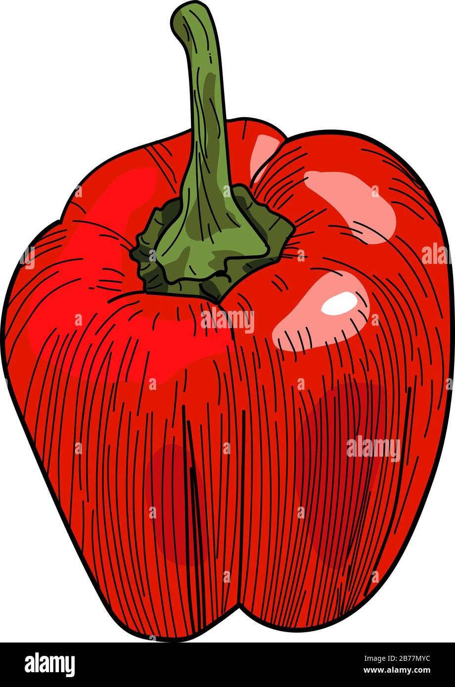 Red pepper icon vector illustration isolated on white background Stock ...