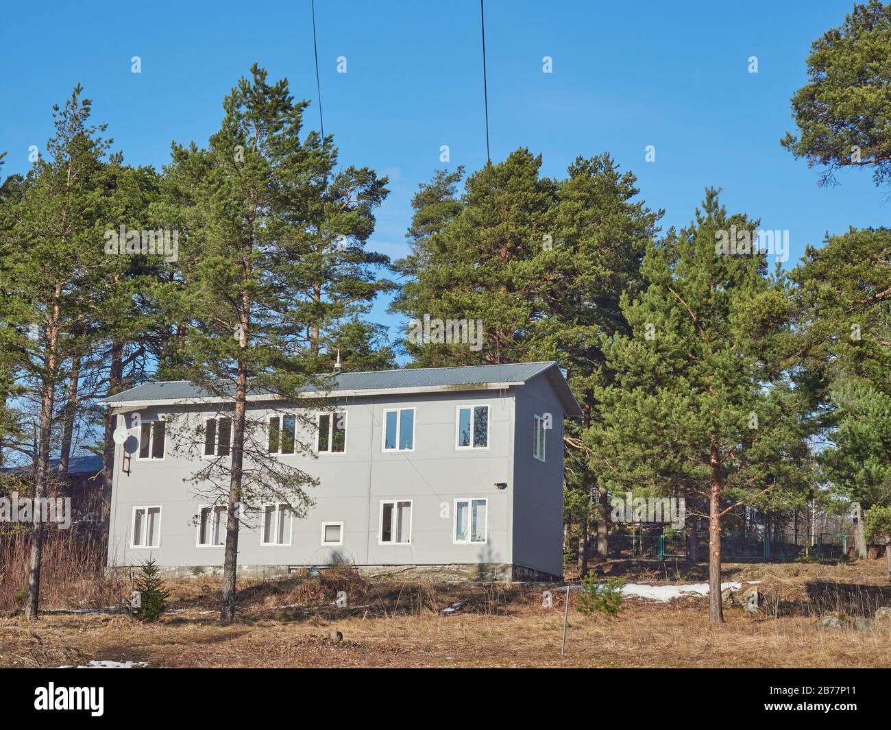 two-story house in a pine forest. Spring Stock Photo - Alamy