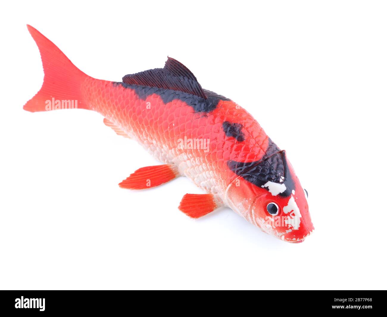 Fish colours Cut Out Stock Images & Pictures - Alamy