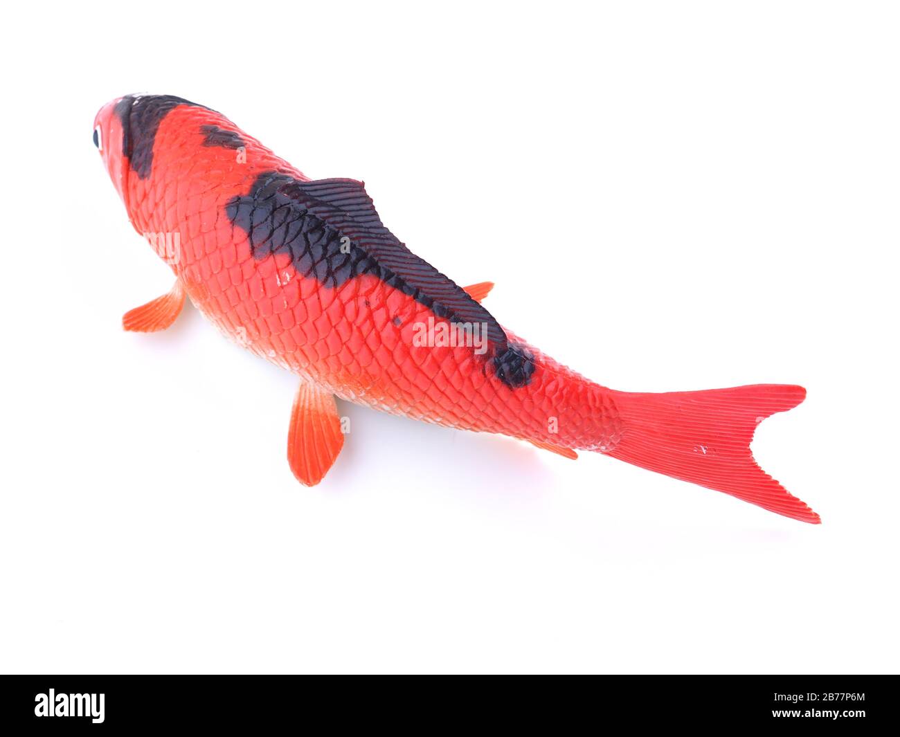 Fish colours Cut Out Stock Images & Pictures - Alamy