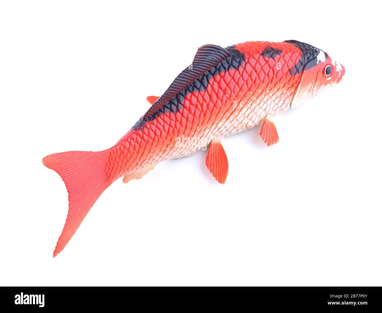 Fish colours Cut Out Stock Images & Pictures - Alamy
