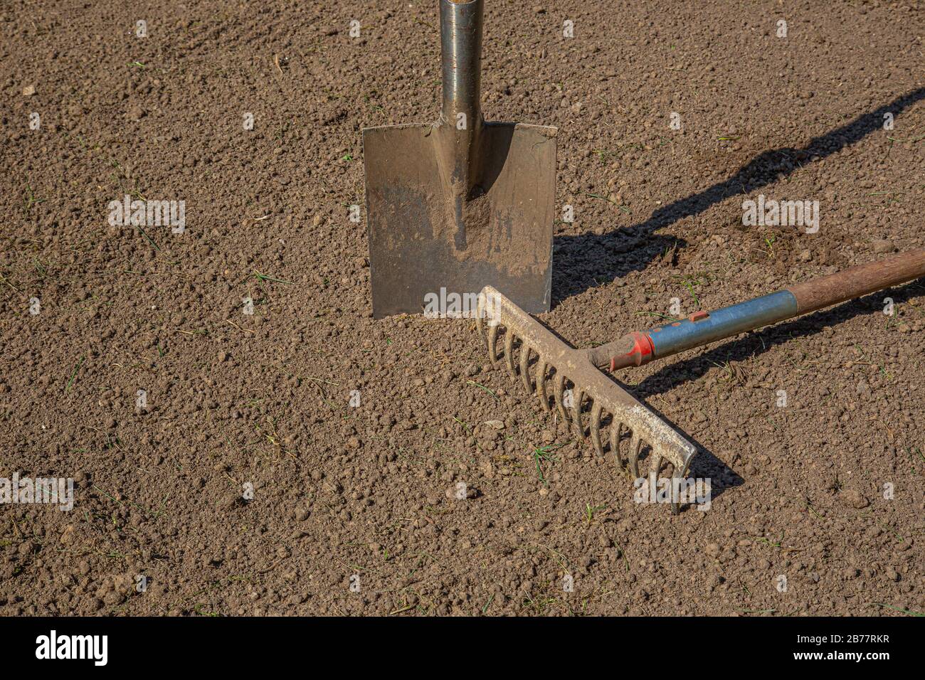 a spade and a rake on finished garden mold Stock Photo - Alamy