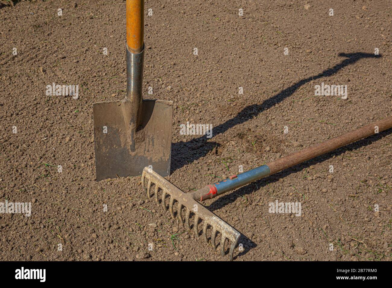 a spade and a rake on finished garden mold Stock Photo - Alamy