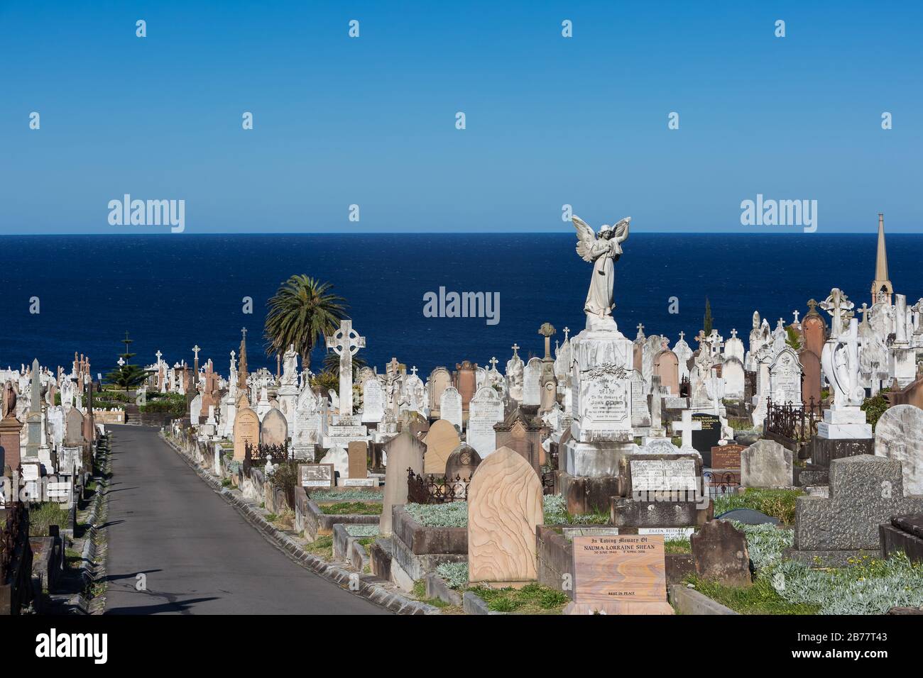 Sydney waverley ocean cemetery hi-res stock photography and images - Alamy