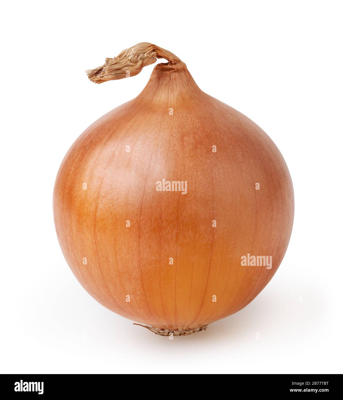 Bulb of onion isolated on white background with clipping path Stock ...