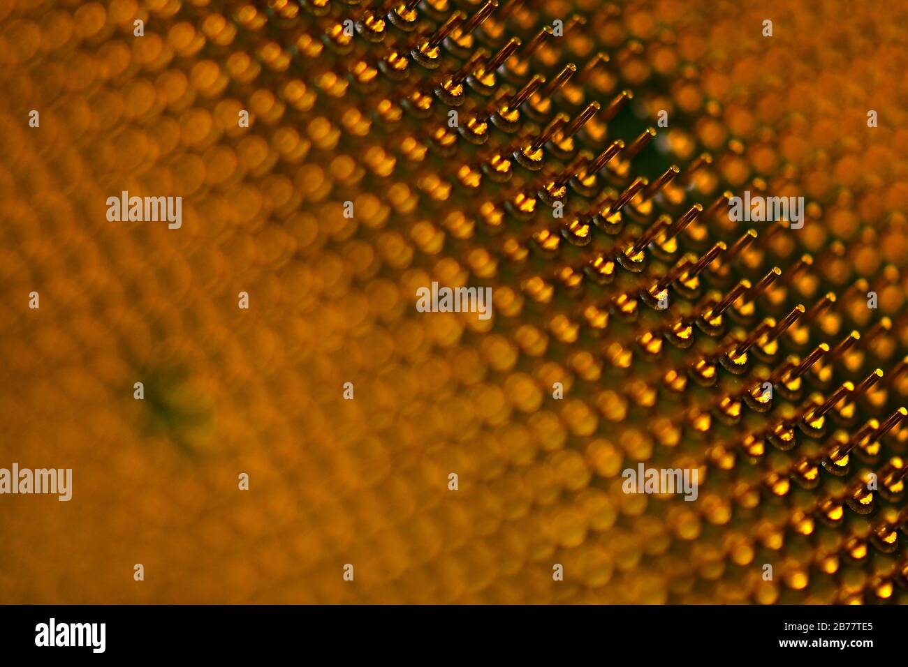 Bottom Side Cpu High Resolution Stock Photography and Images - Alamy