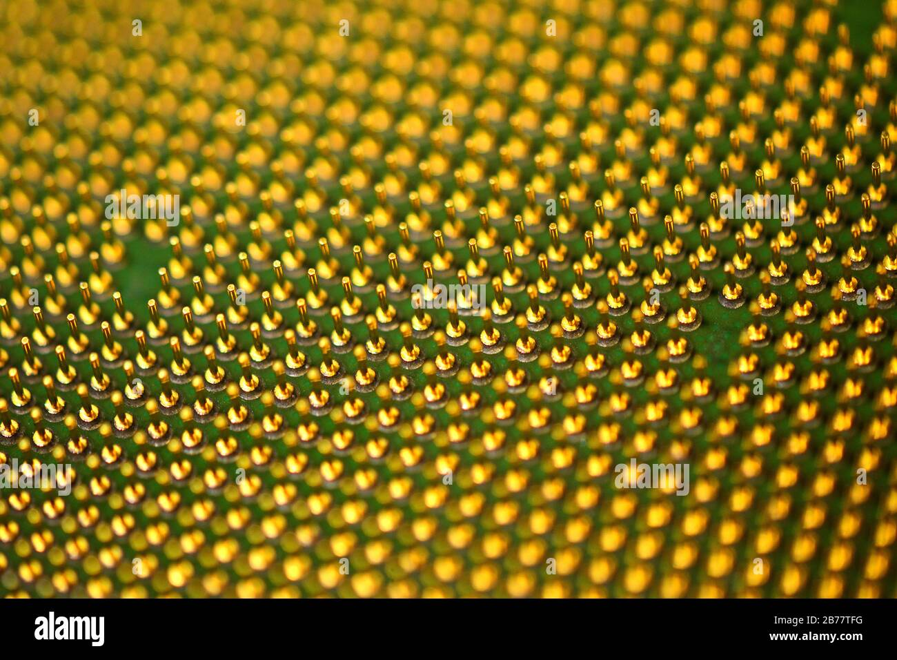 Pins of central processor unit. CPU close-up. Bottom side Stock Photo ...