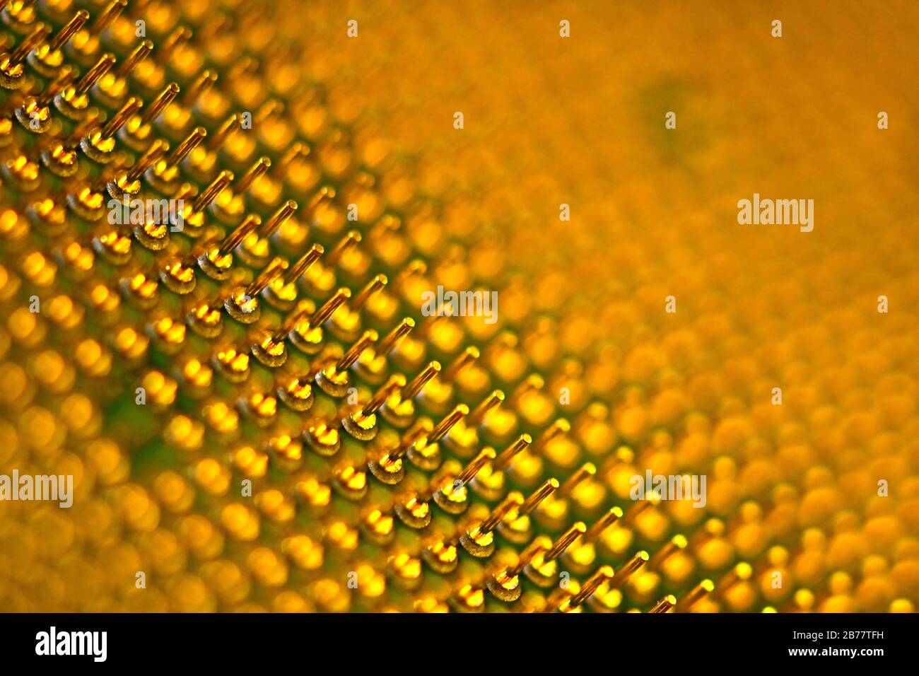 Pins of central processor unit. CPU close-up. Bottom side Stock Photo ...