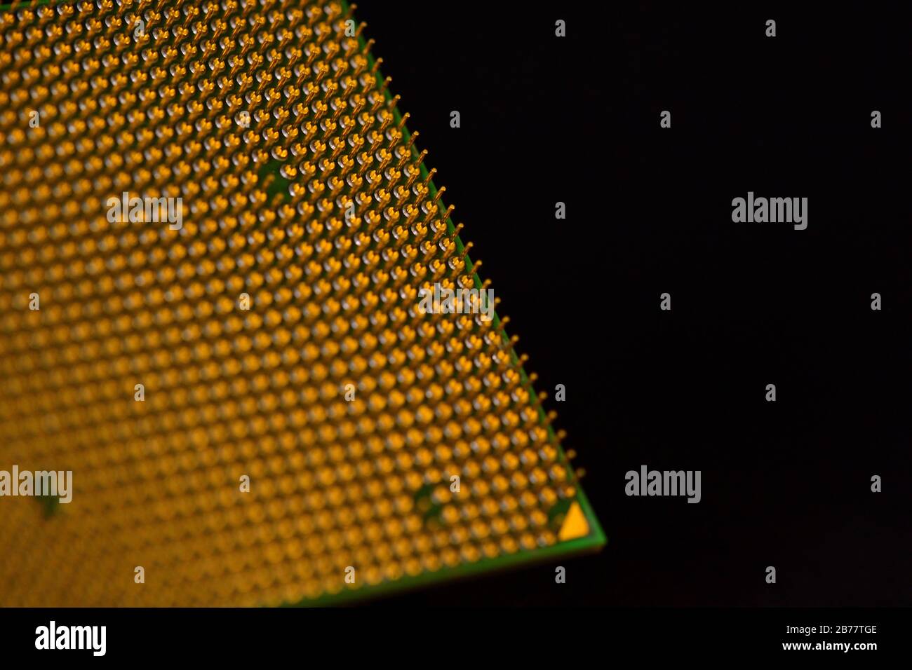 CPU pins. Central processor unit upside-down on a black background ...