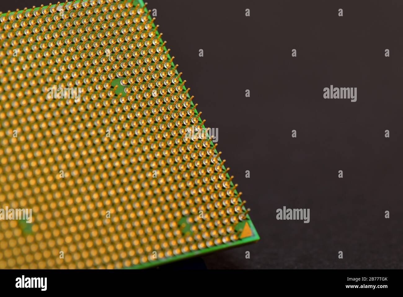 CPU pins. Central processor unit upside-down on a black background ...