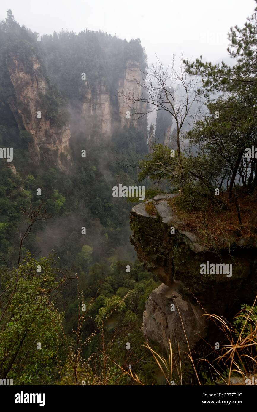 Avatar Mountains in Zhangjiajie Stock Photo - Alamy