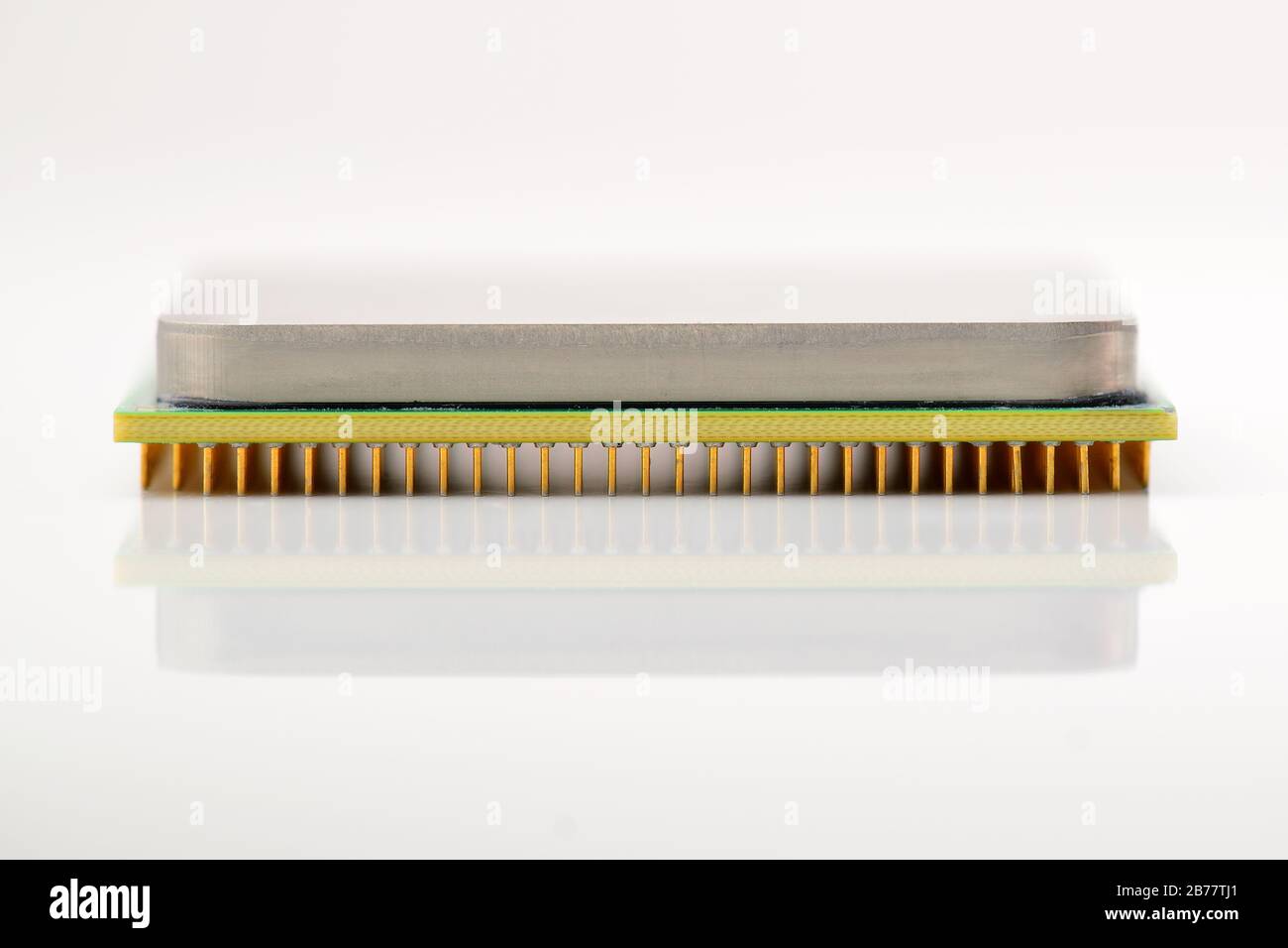 Central processor unit. Golden pins of a core. Copy space. Shallow depth of field. CPU. White ...