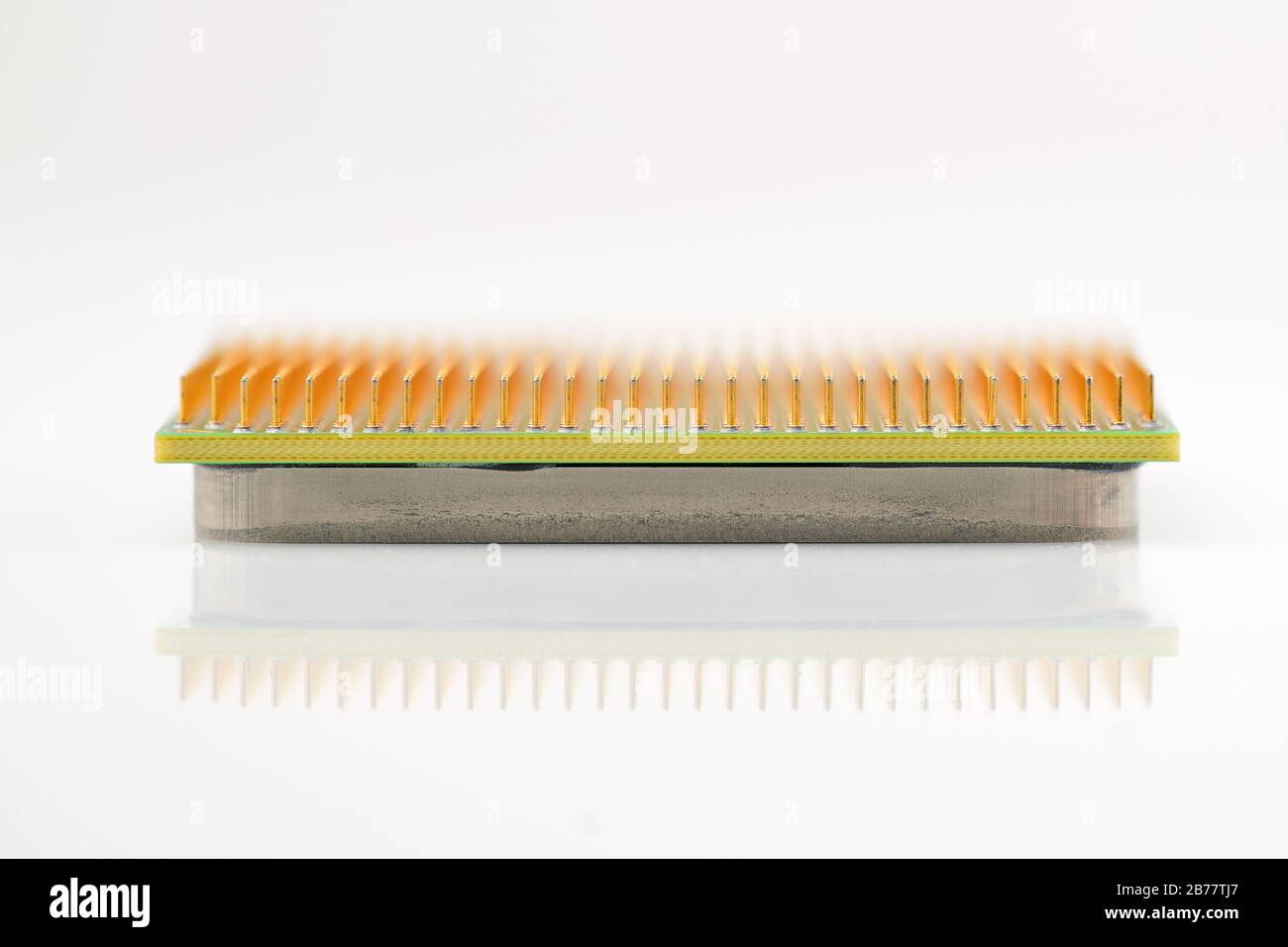 Central processor unit. Golden pins of a core. Copy space. Shallow depth of field. CPU. White ...