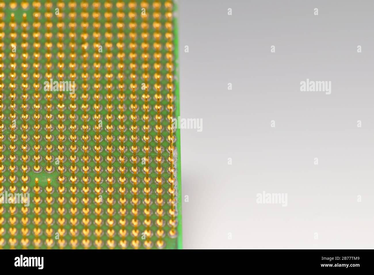 Central processor unit - CPU. Golden pins. Copy space on the right side ...