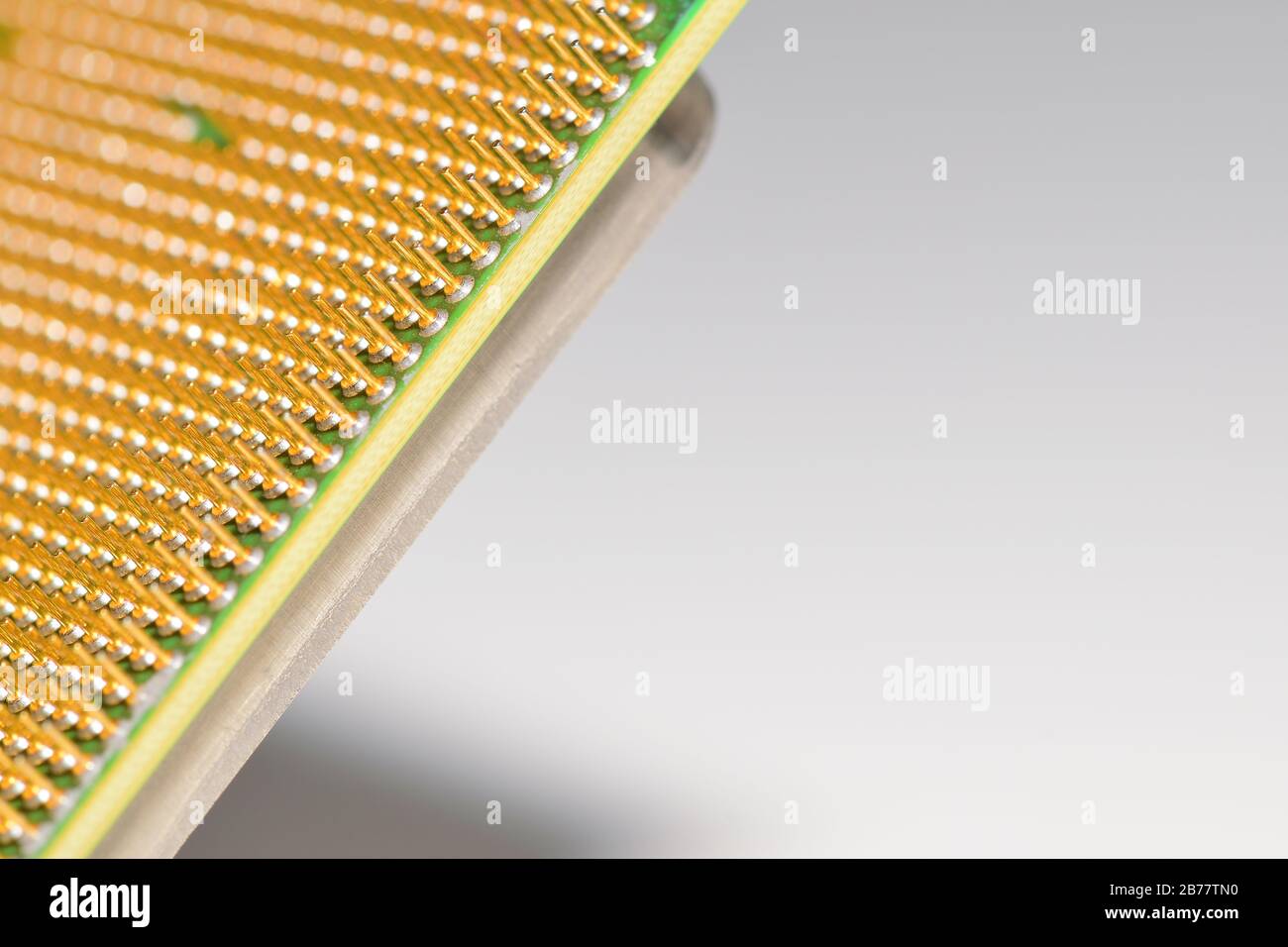 Central processor unit - CPU. Golden pins. Copy space on the right side ...