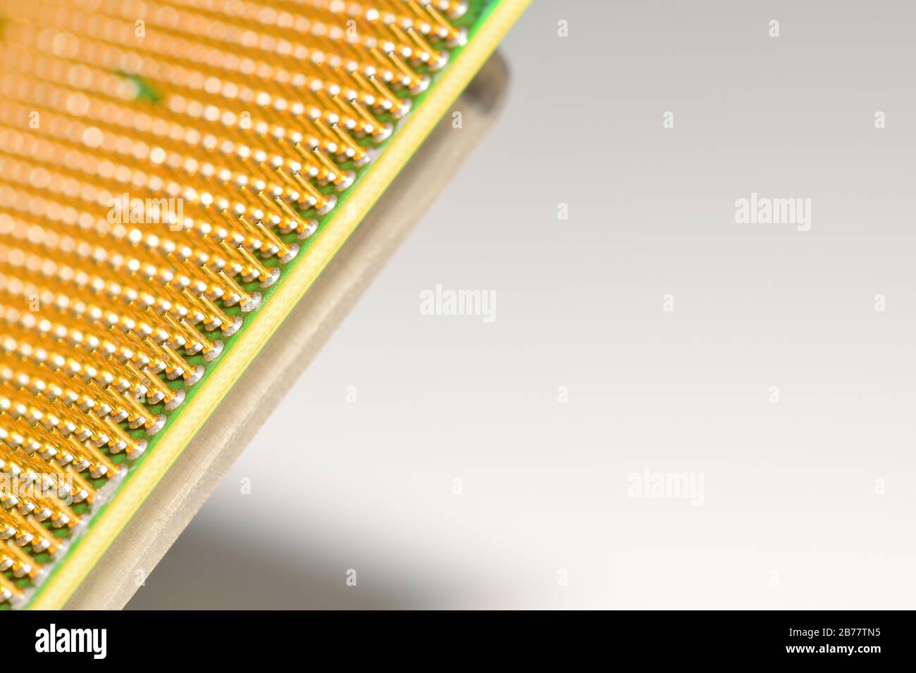 Golden pins of a central processor unit - CPU. Copy space on the right ...