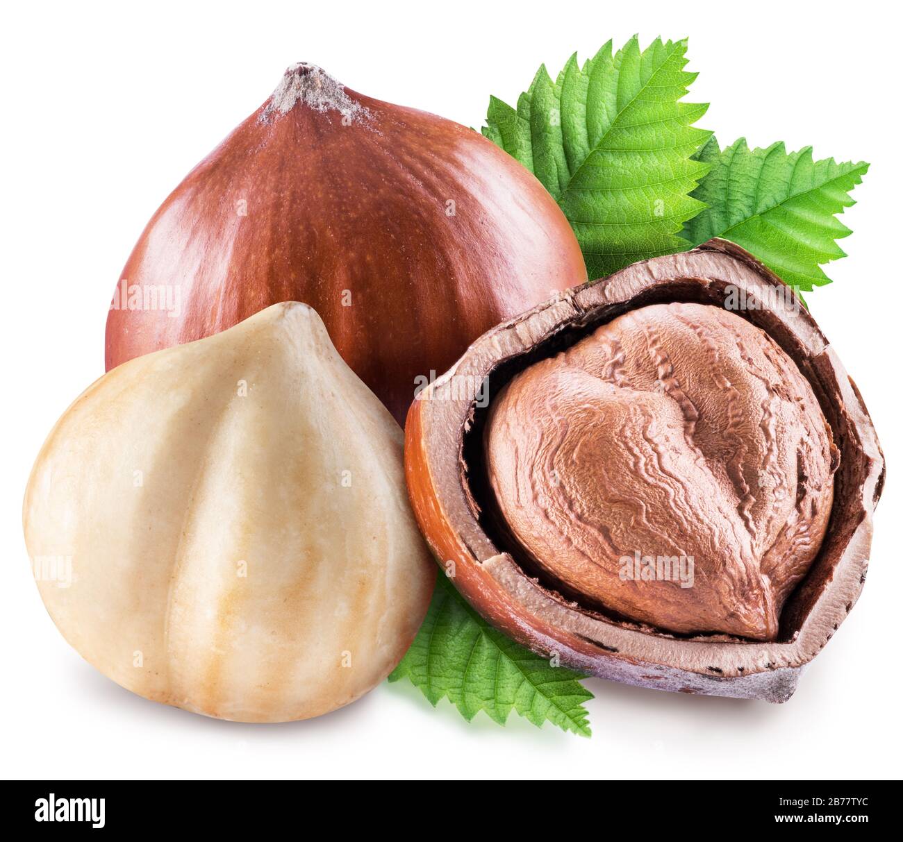 Hazelnuts with shell, hazel leaves and peeled nut isolated on a white ...